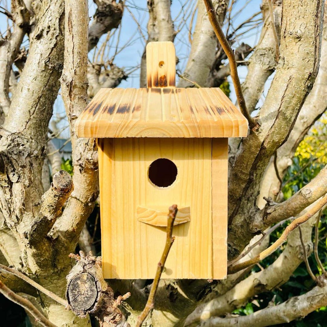 DARLUX Garden Flat Roof Nesting Box Breeding Place for Small Songbirds ...