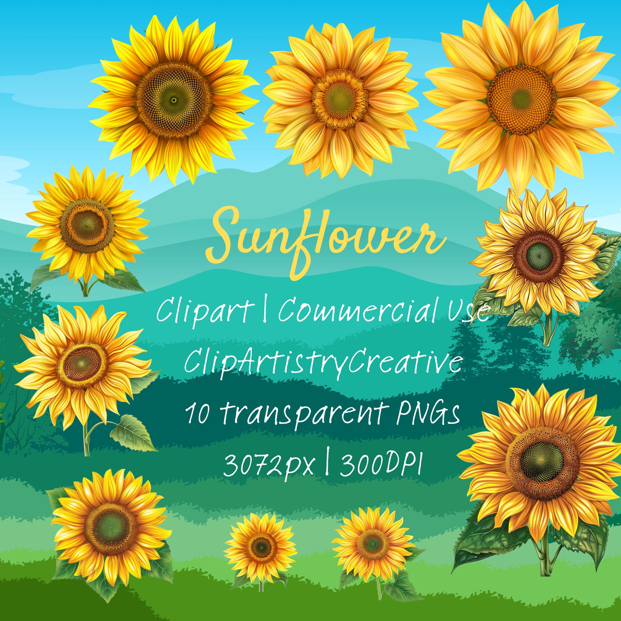 Sunflower Floral Clipart Bundle PNG Transparent Background Instant ...
