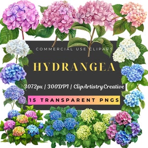 Hydrangea Floral Clipart Bundle PNG Transparent Background Instant ...