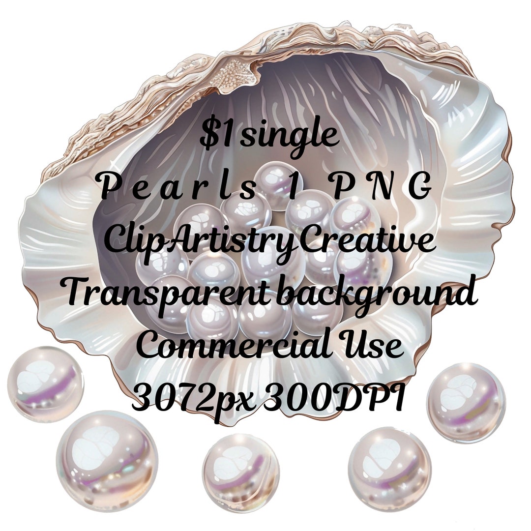 Pearls Clam Clipart PNG Image Illustration Transparent Background ...