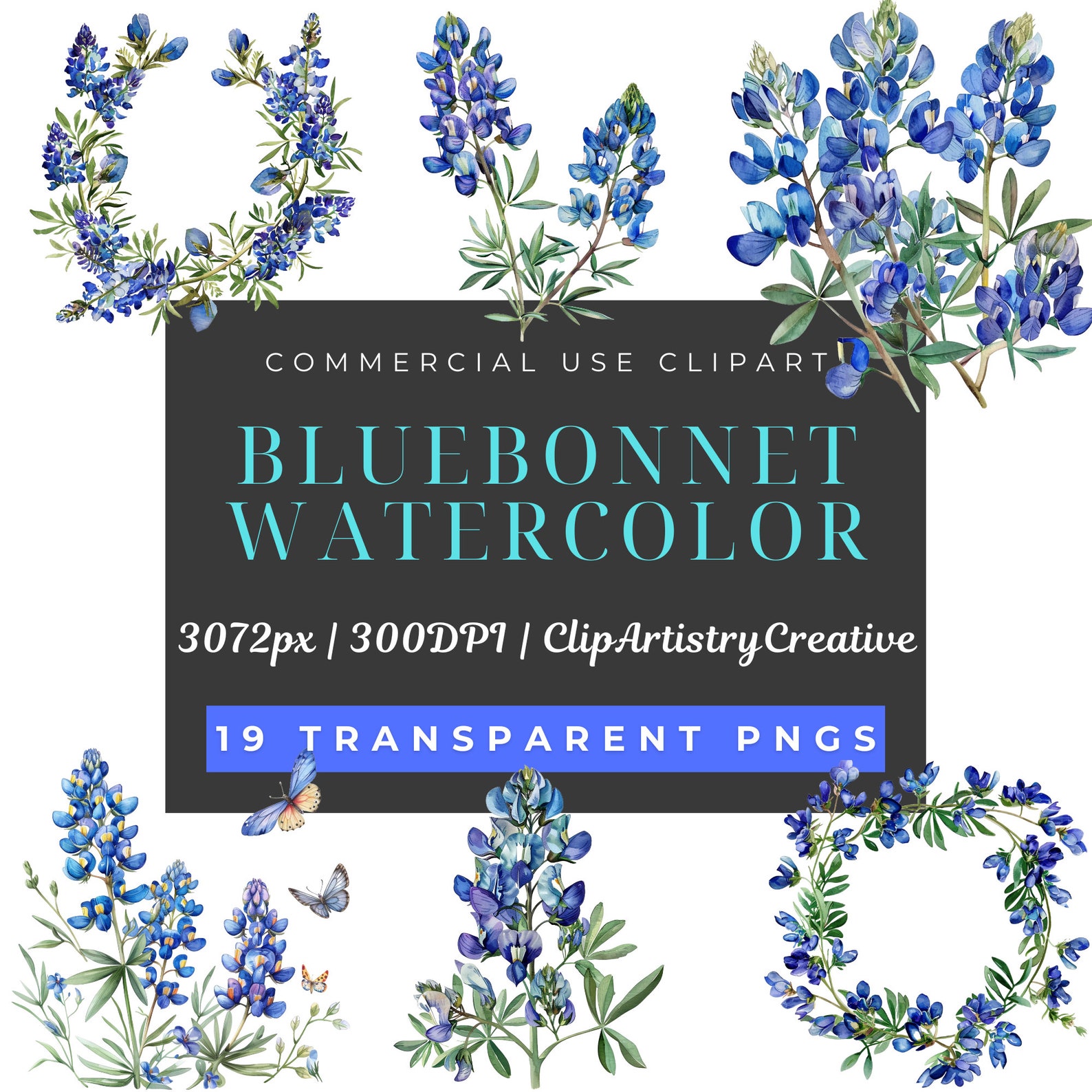 Bluebonnet Watercolour Flower Texas Wildflower Clipart Bundle PNG ...