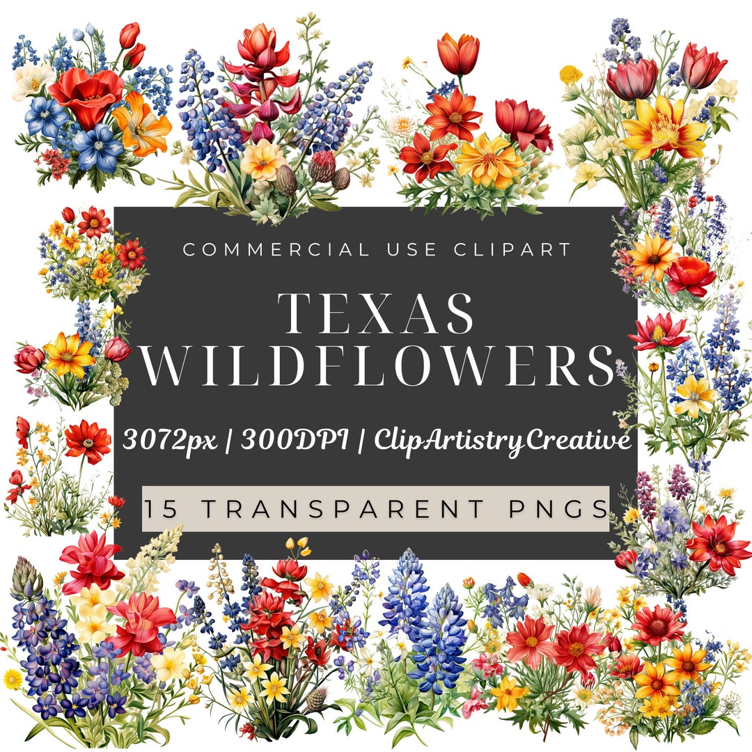Texas Wildflower Clipart Bundle PNG Transparent Background Digital ...