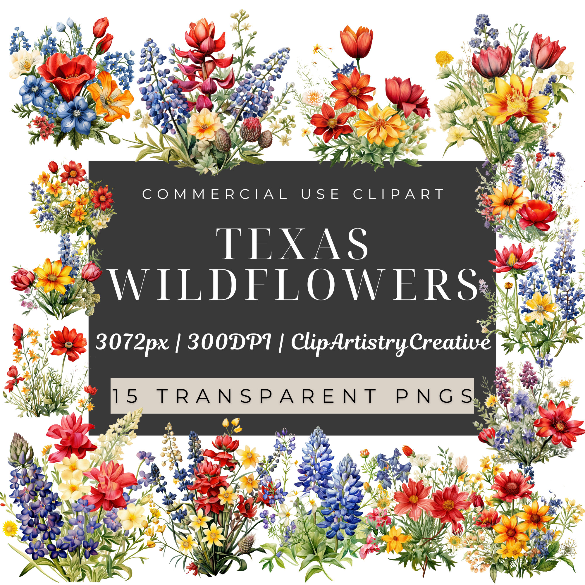 Texas Wildflower Clipart Bundle PNG Transparent Background Digital ...