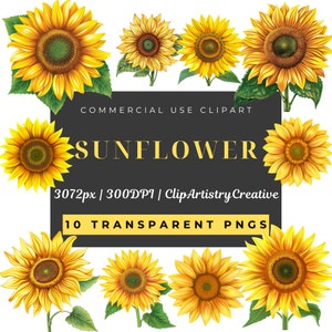 Sunflower Floral Clipart Bundle PNG Transparent Background Instant ...