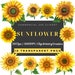 Sunflower Floral Clipart Bundle PNG Transparent Background Instant ...