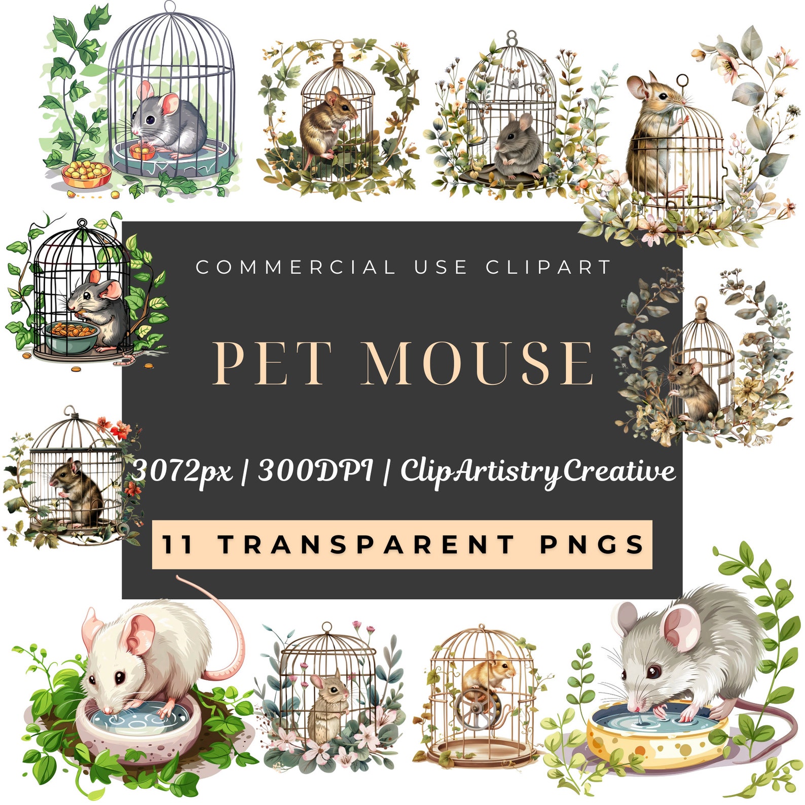 Pet Mouse Clipart Bundle PNG Transparent Background Instant Digital ...