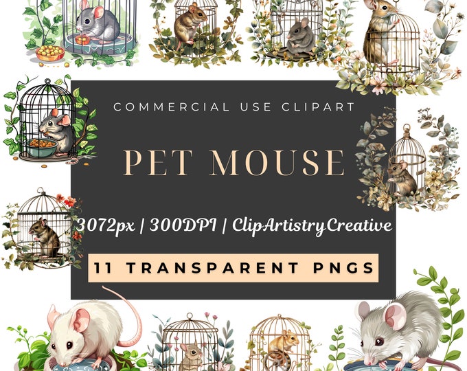 Pet Mouse Clipart Bundle PNG Transparent Background Instant Digital ...