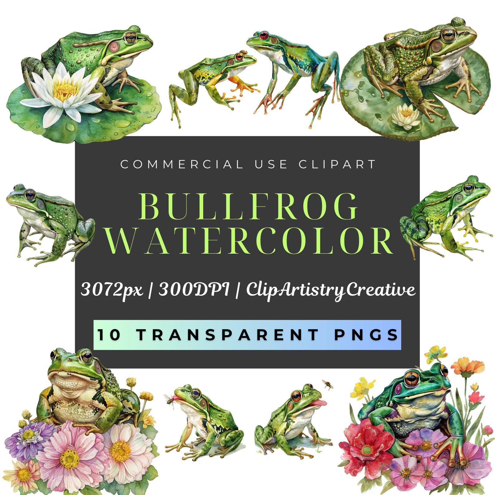 Bullfrog Watercolor Clipart PNG Transparent Background Digital Download ...