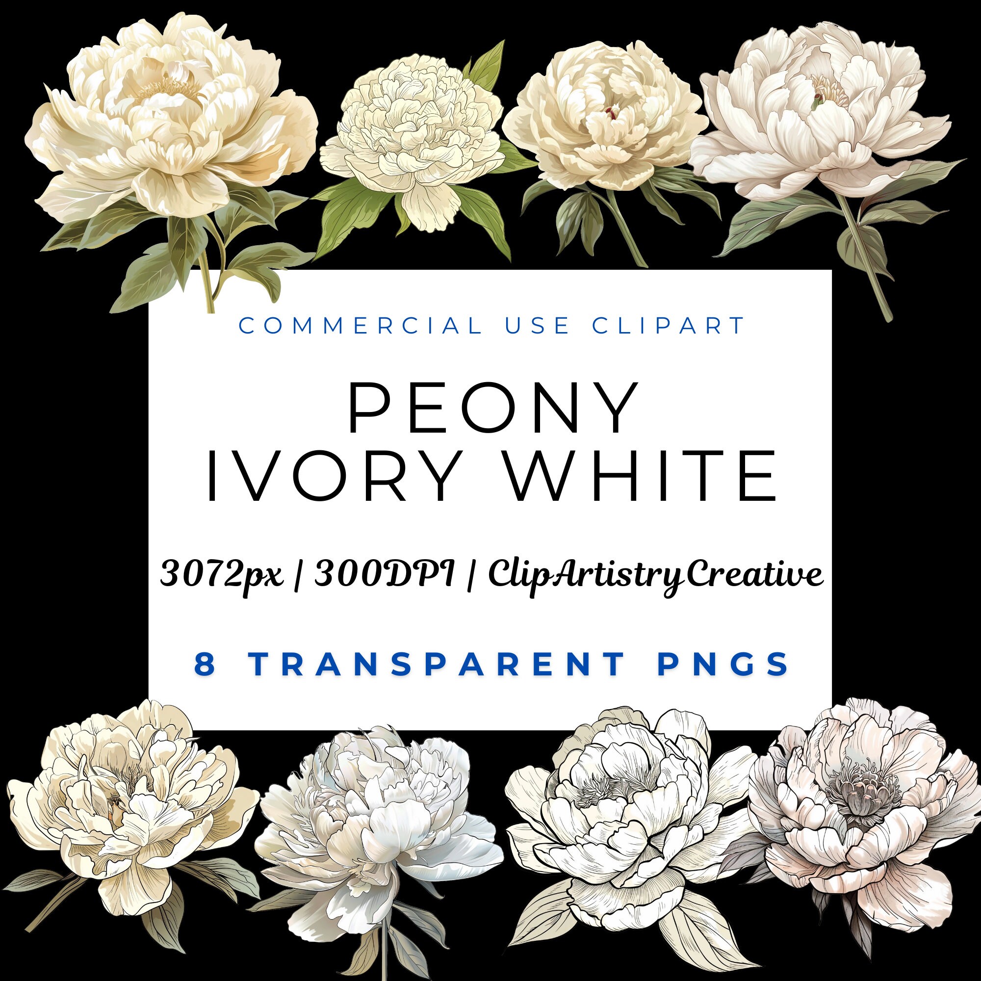 Ivory White Peony Flower Floral Clipart Bundle PNG Transparent ...