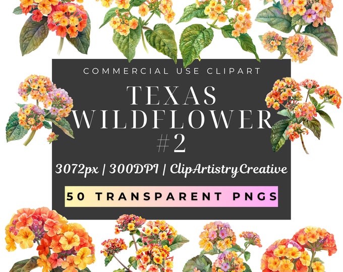 Texas Wildflower Clipart Bundle PNG Transparent Background Digital ...
