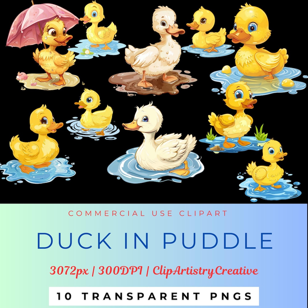 Duck in Puddle Clipart Bundle PNG Transparent Background Instant ...