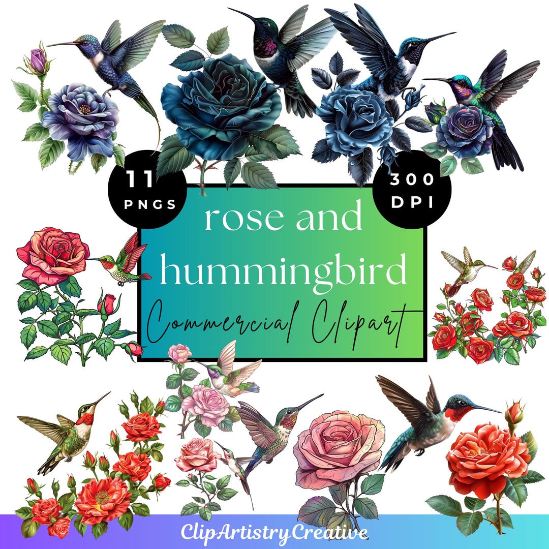 Rose and Hummingbird Clipart PNG Transparent Background Digital ...
