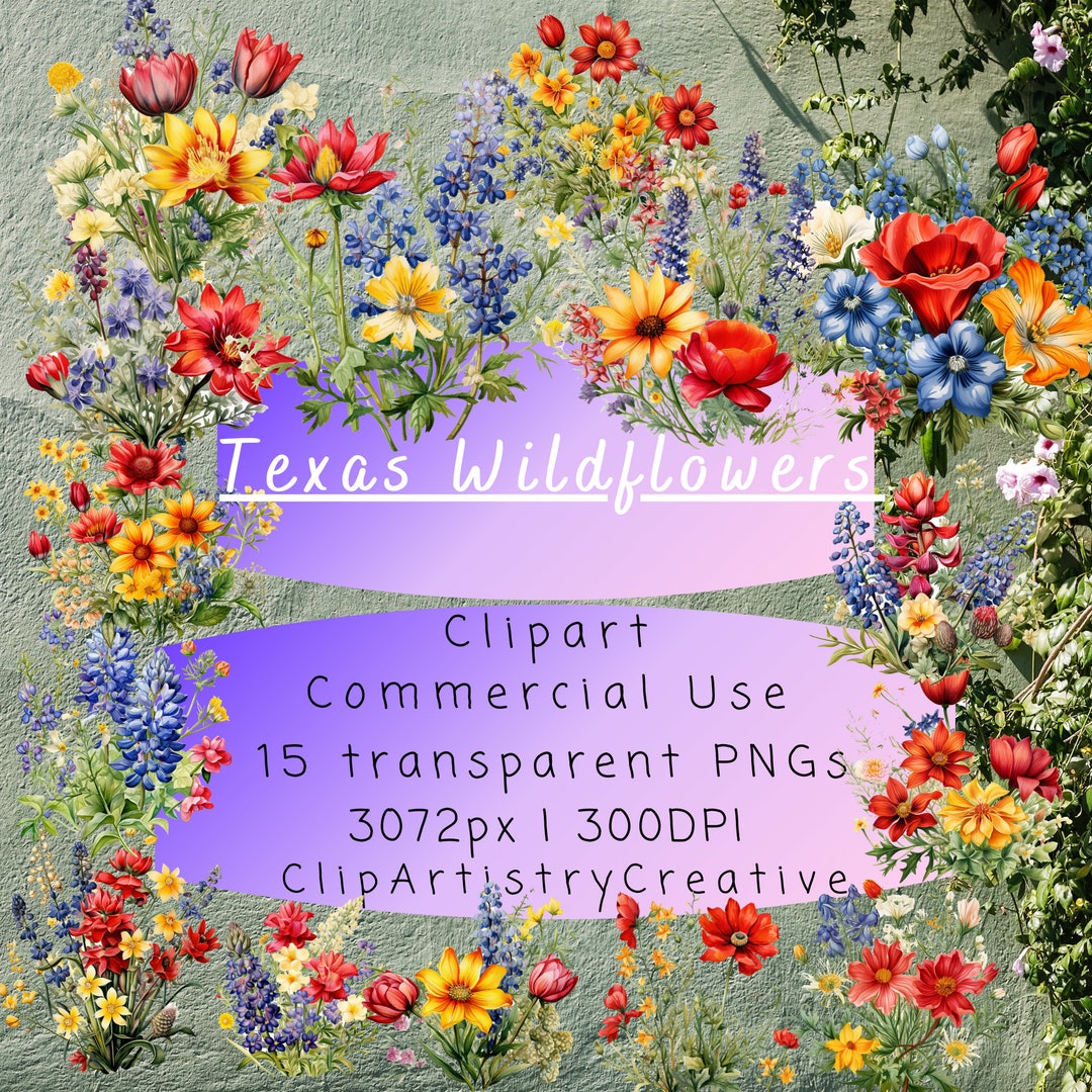 Texas Wildflower Clipart Bundle PNG Transparent Background Digital ...