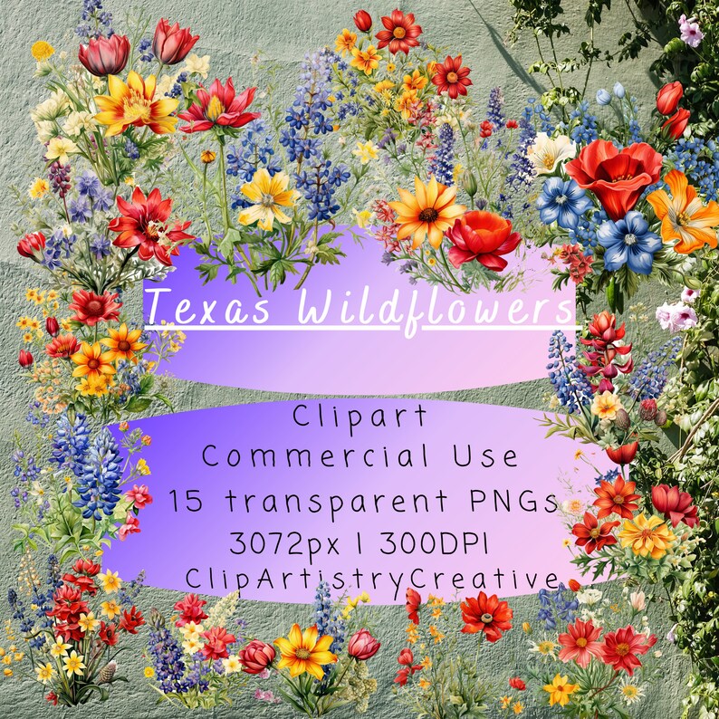 Texas Wildflower Clipart Bundle PNG Transparent Background Digital ...
