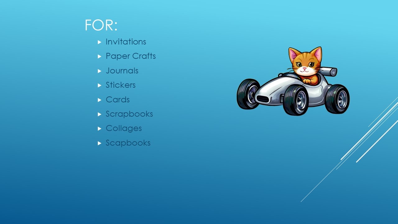 Cartoon Clipart Cat Driving a Racing Car Bundle - Etsy
