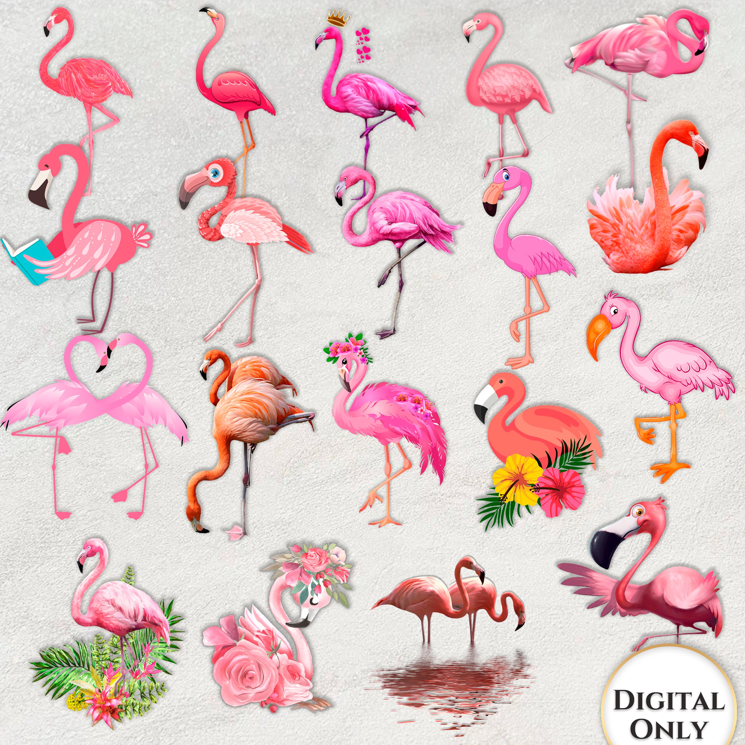 Flamingo Clipart Digital, Flamingo PNG, Watercolor Famingo, Flamingo ...