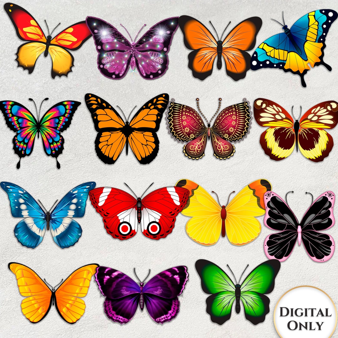 Butterfly Clipart, Colorful Butterfly Clipart, Butterfly PNG ...