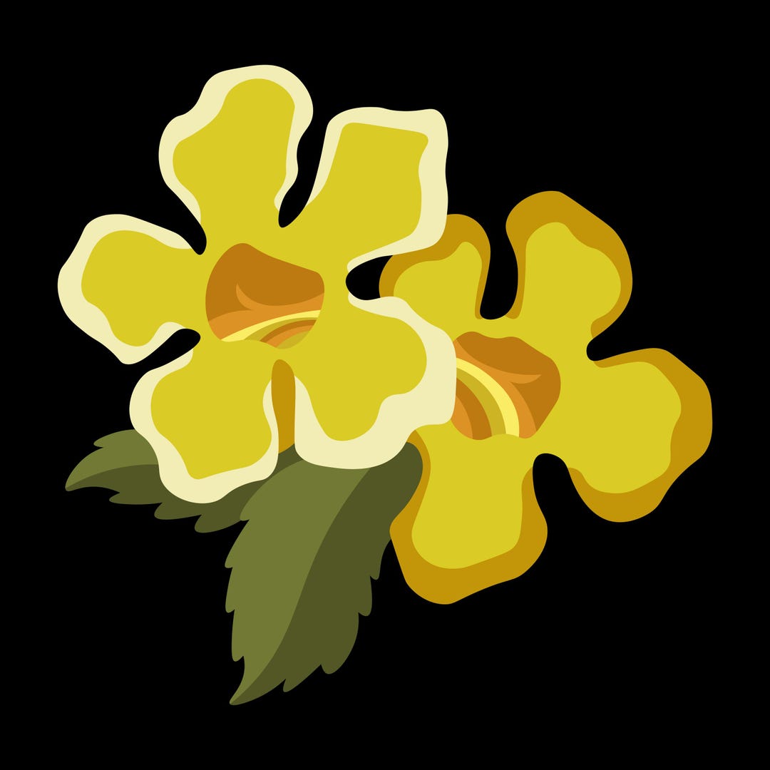 USVI State Flower Png - Etsy