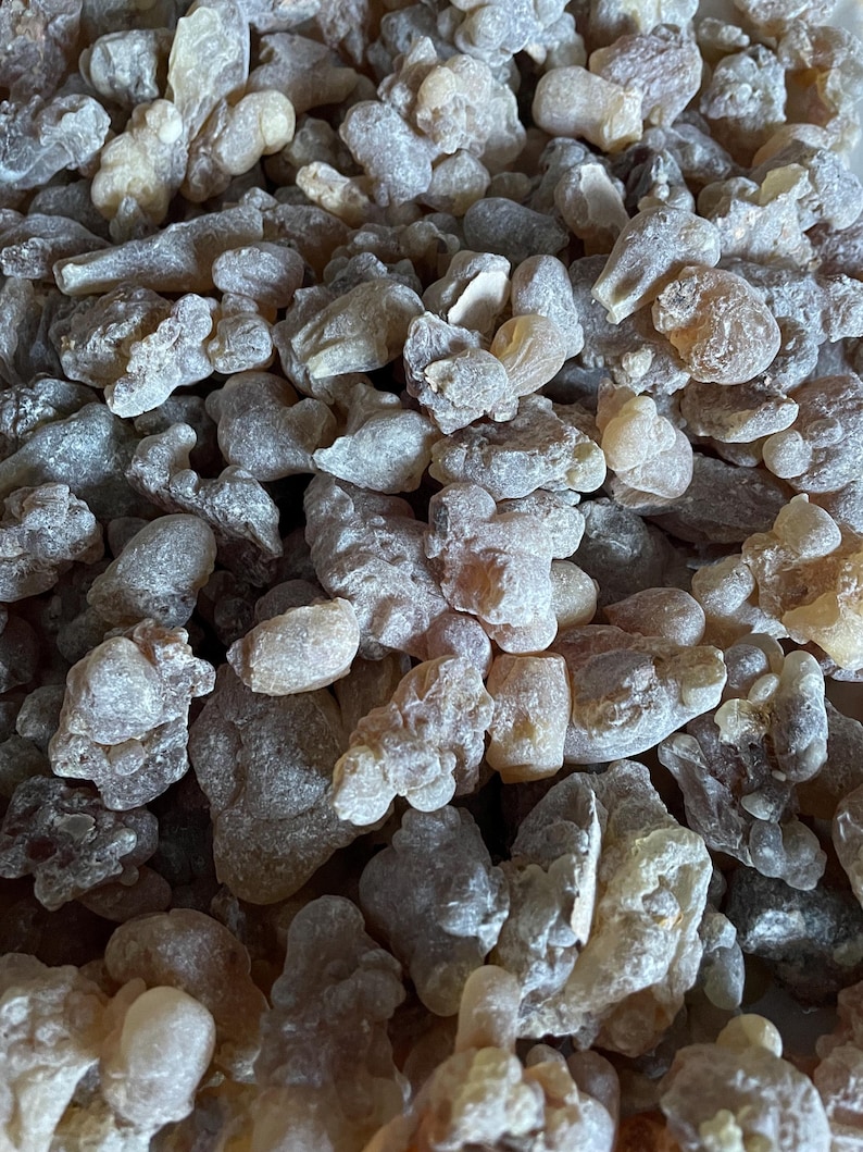 Red Hojari Frankincense Resin - Boswellia Sacra Oman - High Grade ...