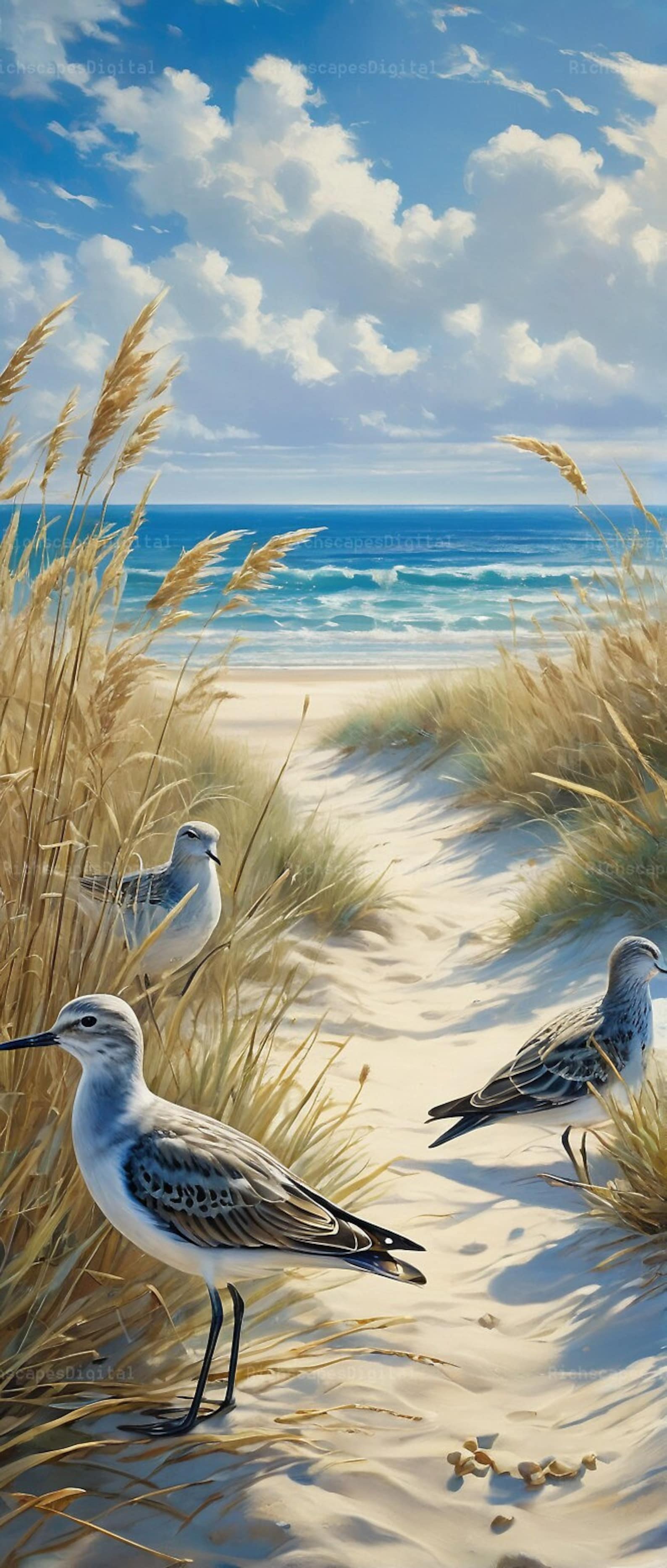 Seascape Beach Digital Art 04 35.5in X 83.2in 2656 X 6240 Pixels Ratio ...