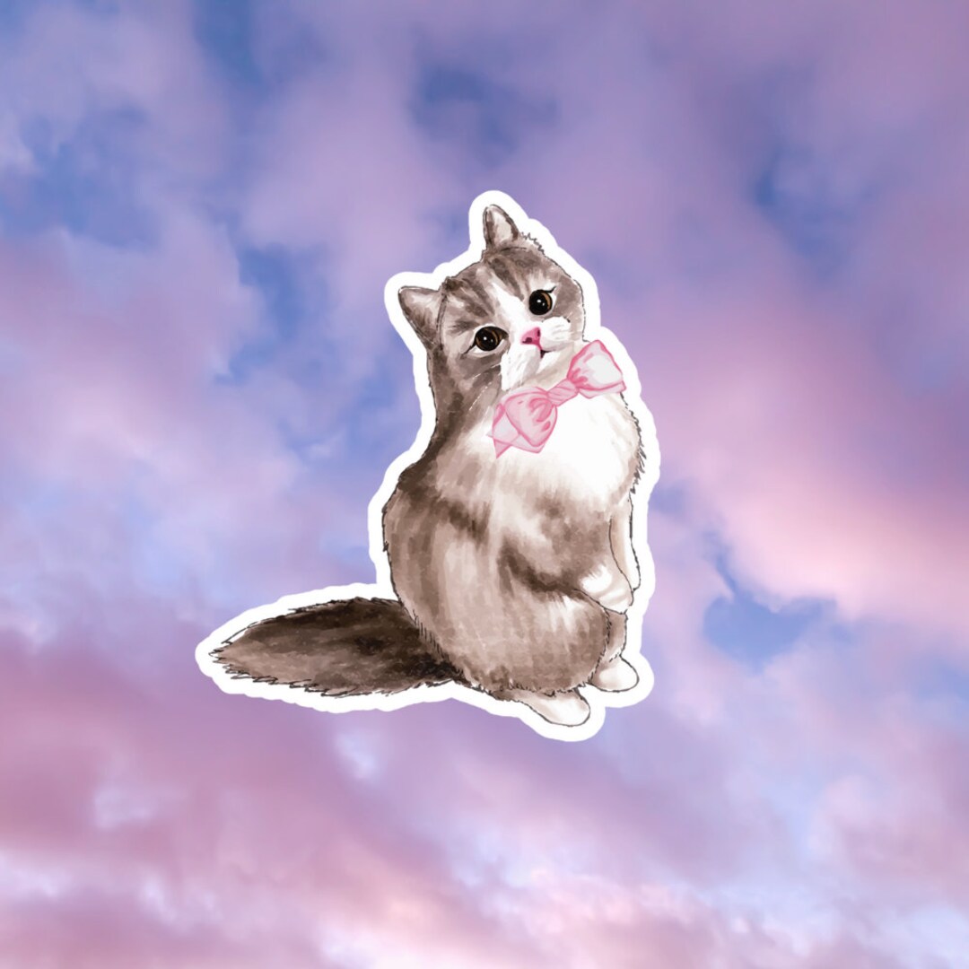 Coquette Cat Sticker, Water-resistant Vinyl Decal - Etsy