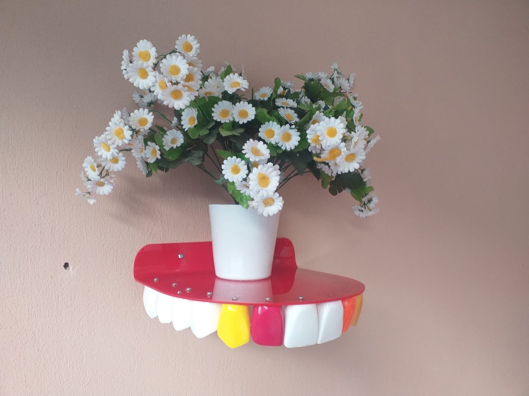 Unique Tooth-inspired Shelving Unit Adds Charm to Your Decor - Etsy
