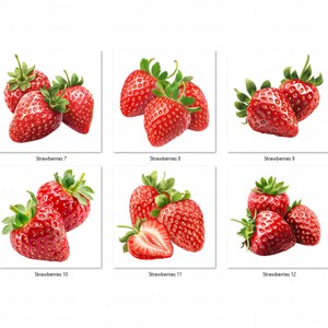 Strawberries Clipart, Strawberry PNG, Fruit Clip Art, Botanical ...