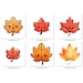 Kawaii Maple Leaf Clipart, Cute Cartoon Happy Smiling Fall Autumn Faces ...