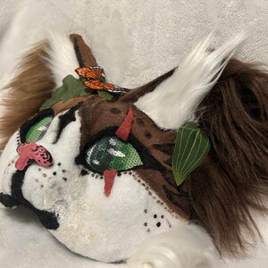 Brown & White Norwegian Forest Cat - Etsy