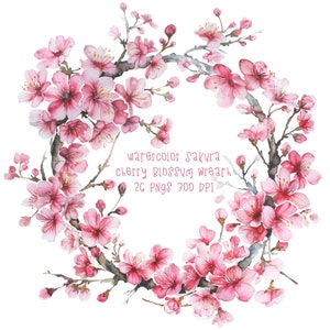 Watercolor Cherry Blossoms Clipart, Sakura Clipart, Floral Wreaths ...