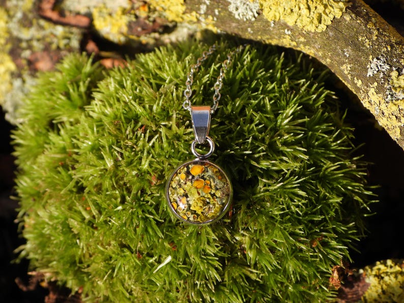 Real Lichen Necklace Nature Lover Gift Stainless Steel Moss Woodland ...