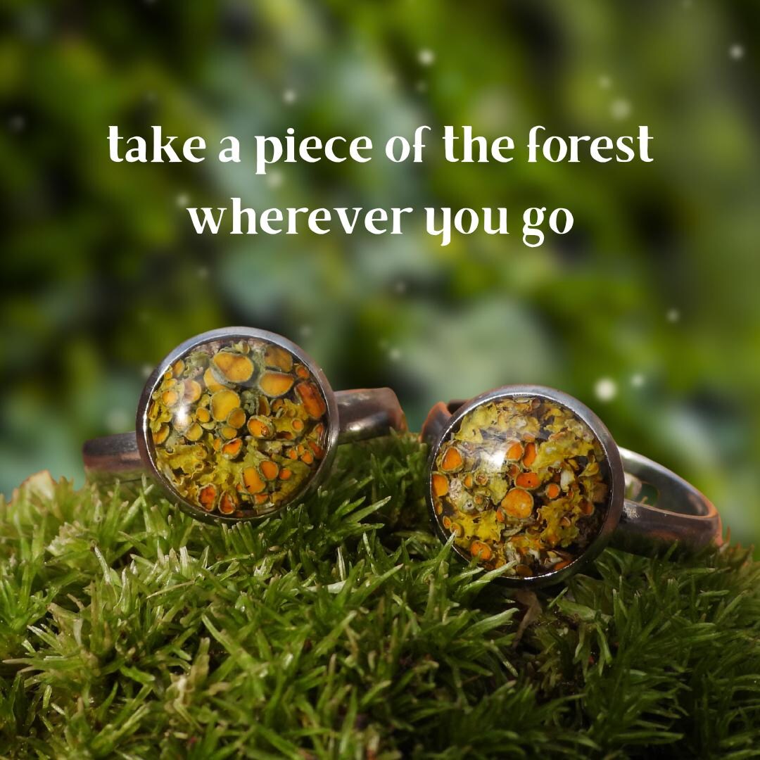 Real Lichen Ring Adjustable Nature Lover Gift Stainless Steel Moss ...