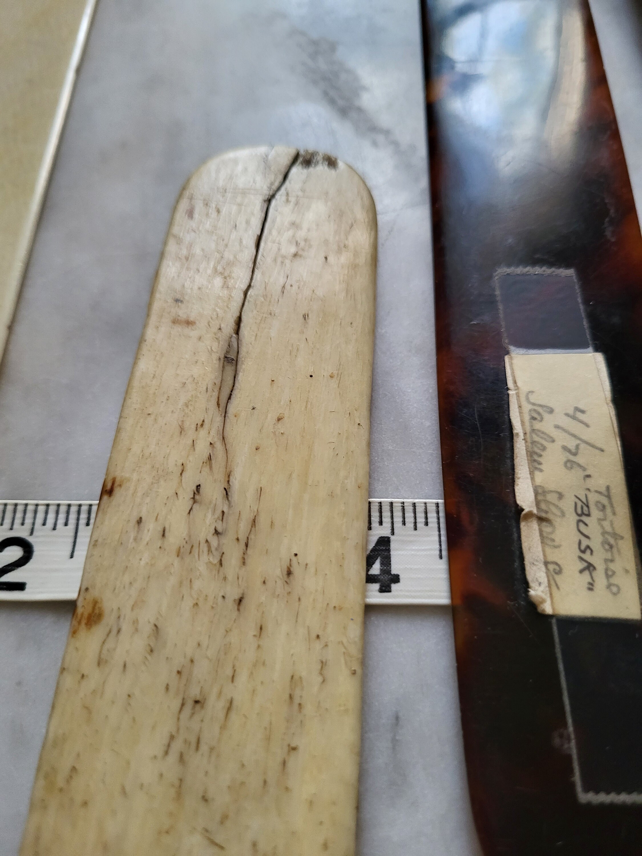 Antique Busk Stay Collection Corset Stays 11 Busks Georgian Era Prim ...