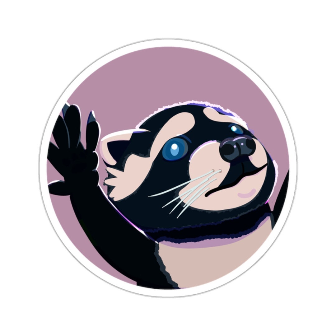 Pedro the Dancing Raccoon Meme Sticker | Funny Animal Sticker - Etsy