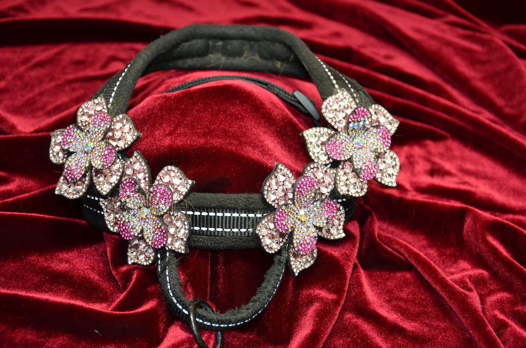 Luxury Four Flower Rhinestone Dog Harness - Etsy