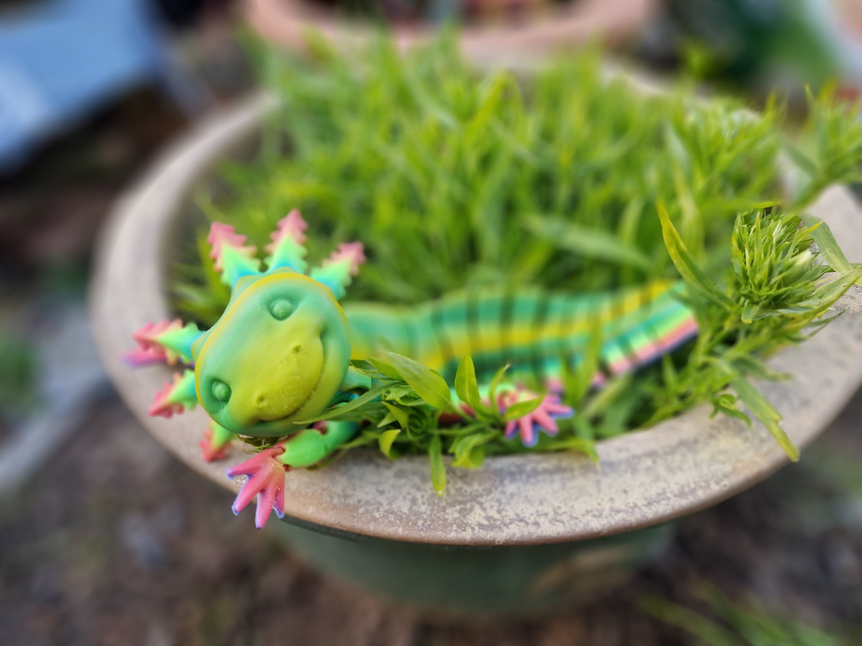 3d Printed Axolotl Articulated Fidget Lizard Tiktok - Etsy
