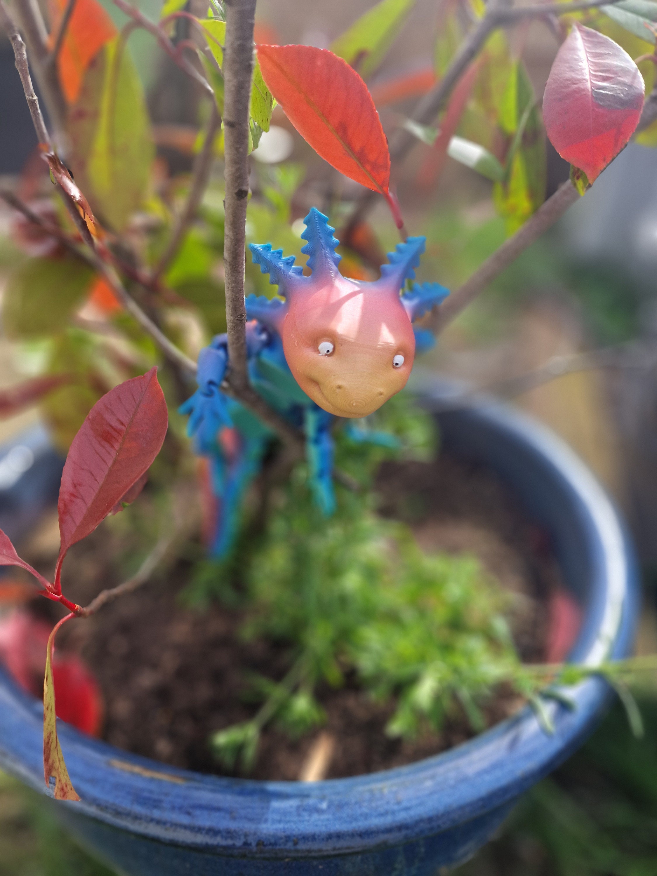 3d Printed Axolotl Articulated Fidget Lizard Tiktok - Etsy