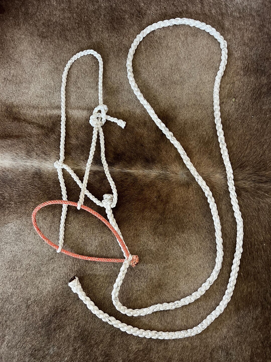 Cowboy Strip-down Halters - Etsy