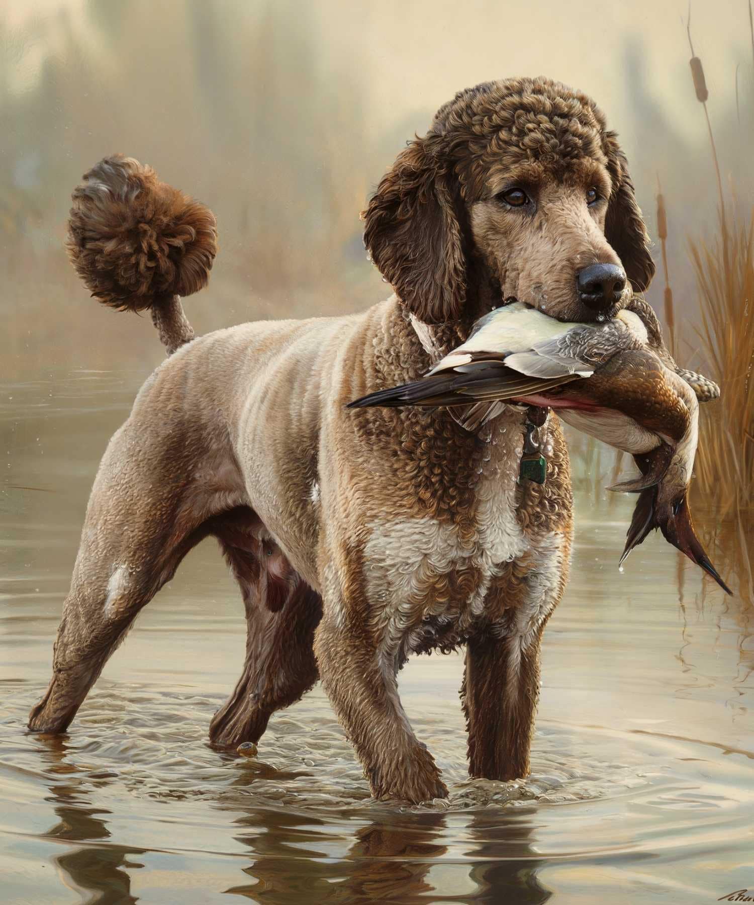 Standard Poodle Hunting Art Digital Print Working Dog Series Duck ...