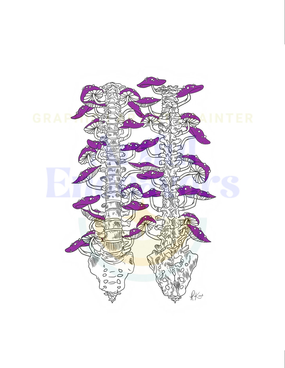 Mushroom Anatomy V-spine - Etsy