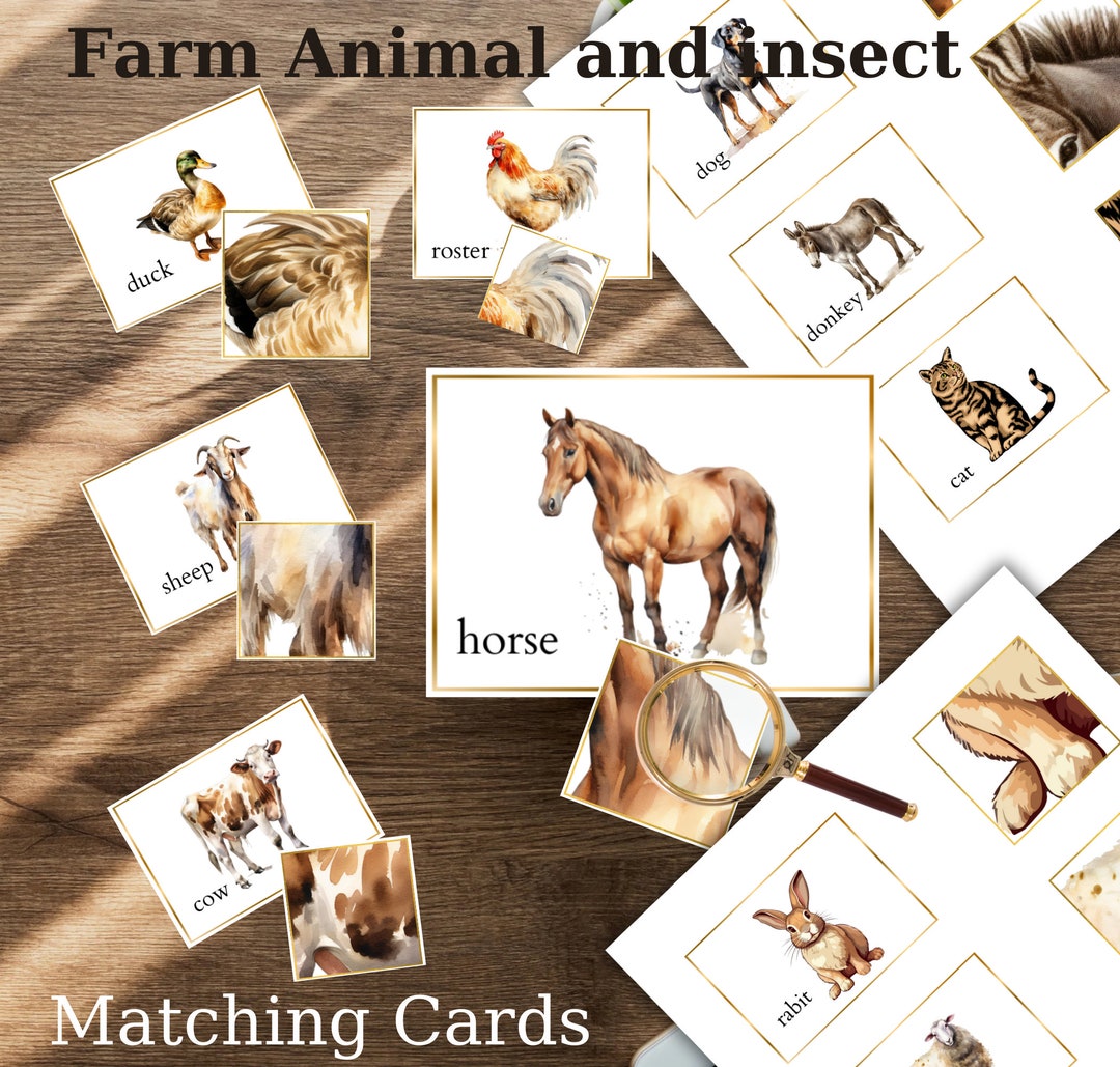 1 Farm Animals and Insects Pattern Matching Cards, Summer Inspired ...