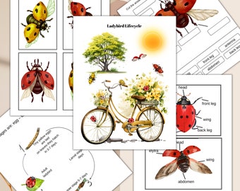 TREE Nature Unit, HUGE Printables Collection, Leaf Shape, Life Cycle ...