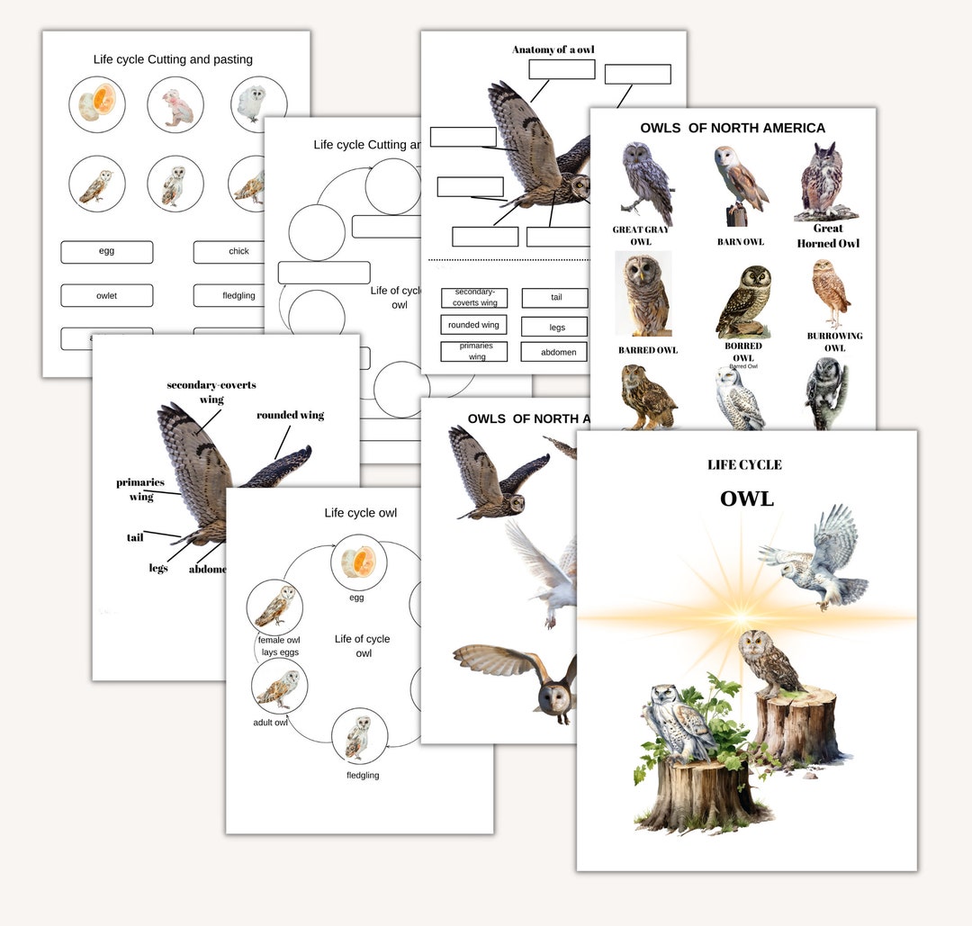 OWLS Unit Study, Life Cycle, Anatomy, Nature Study, Science, Homeschool ...