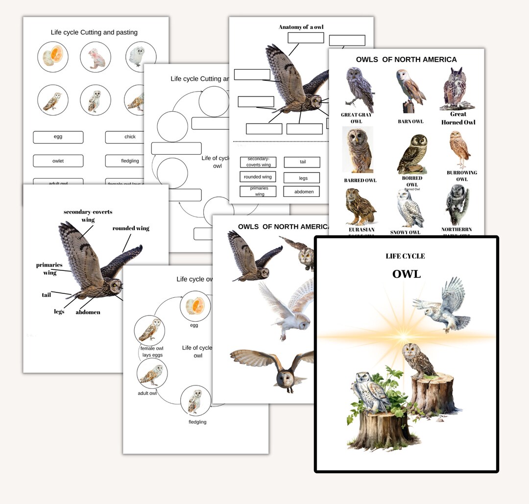 OWLS Unit Study, Life Cycle, Anatomy, Nature Study, Science, Homeschool ...