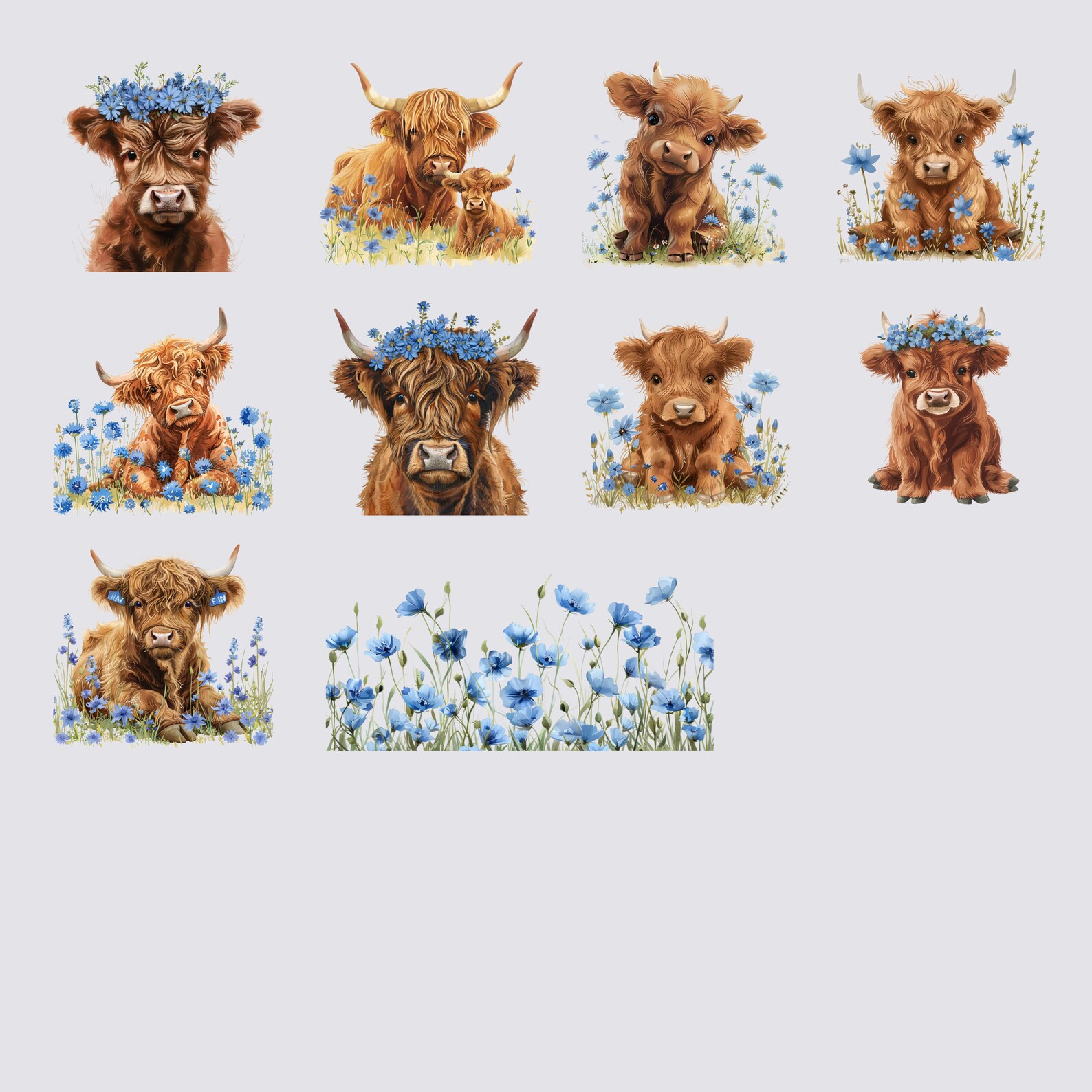 Highland Cow Blue Wildflower Clipart, Baby Highland Cow PNG, Cow With ...