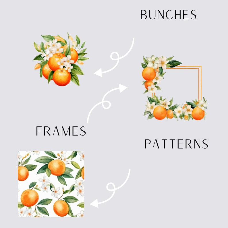 Little Cutie Oranges Clipart, Watercolor Citrus PNG, Floral Blossom ...