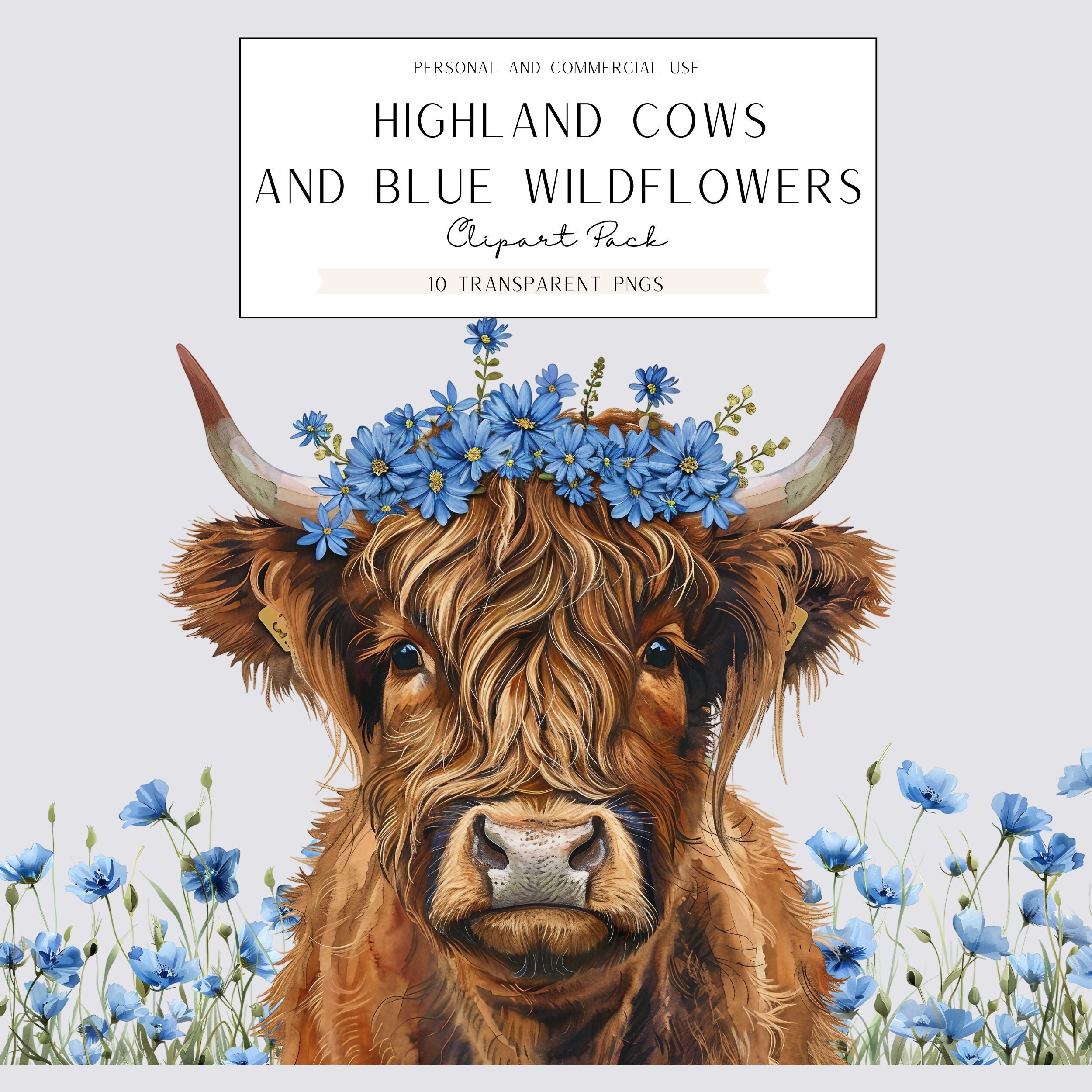 Highland Cow Blue Wildflower Clipart, Baby Highland Cow PNG, Cow With ...