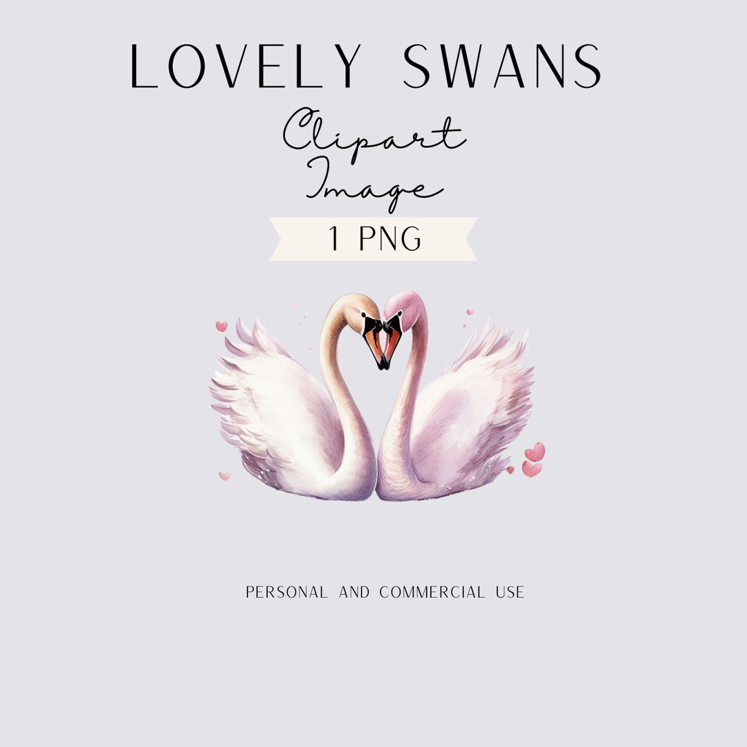Swans, Watercolor Clip Art, Commercial Use, Transparent Pngs, Wedding ...