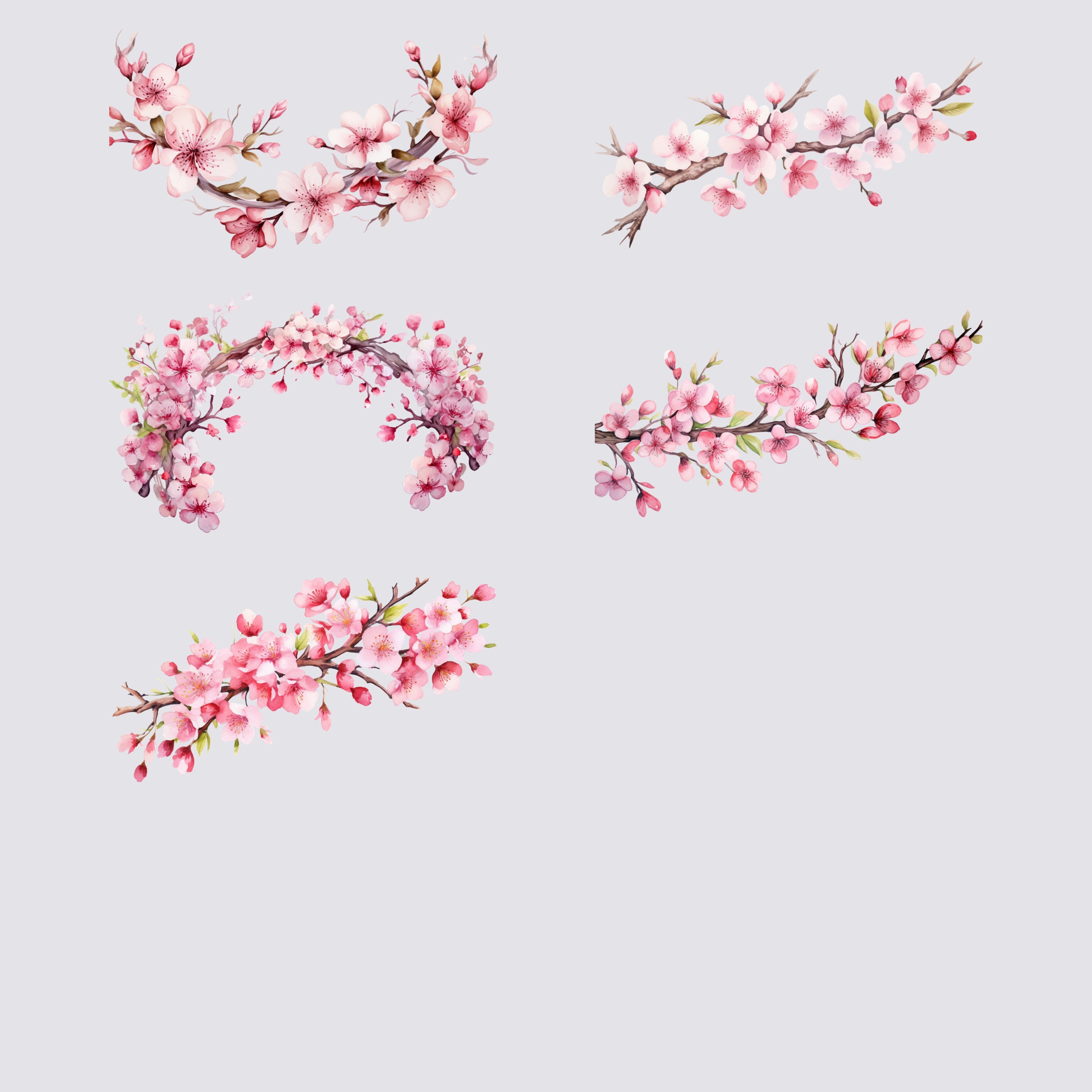 Watercolor Cherry Blossom Clipart, Sakura Clip Art, Japanese Sakura PNG ...