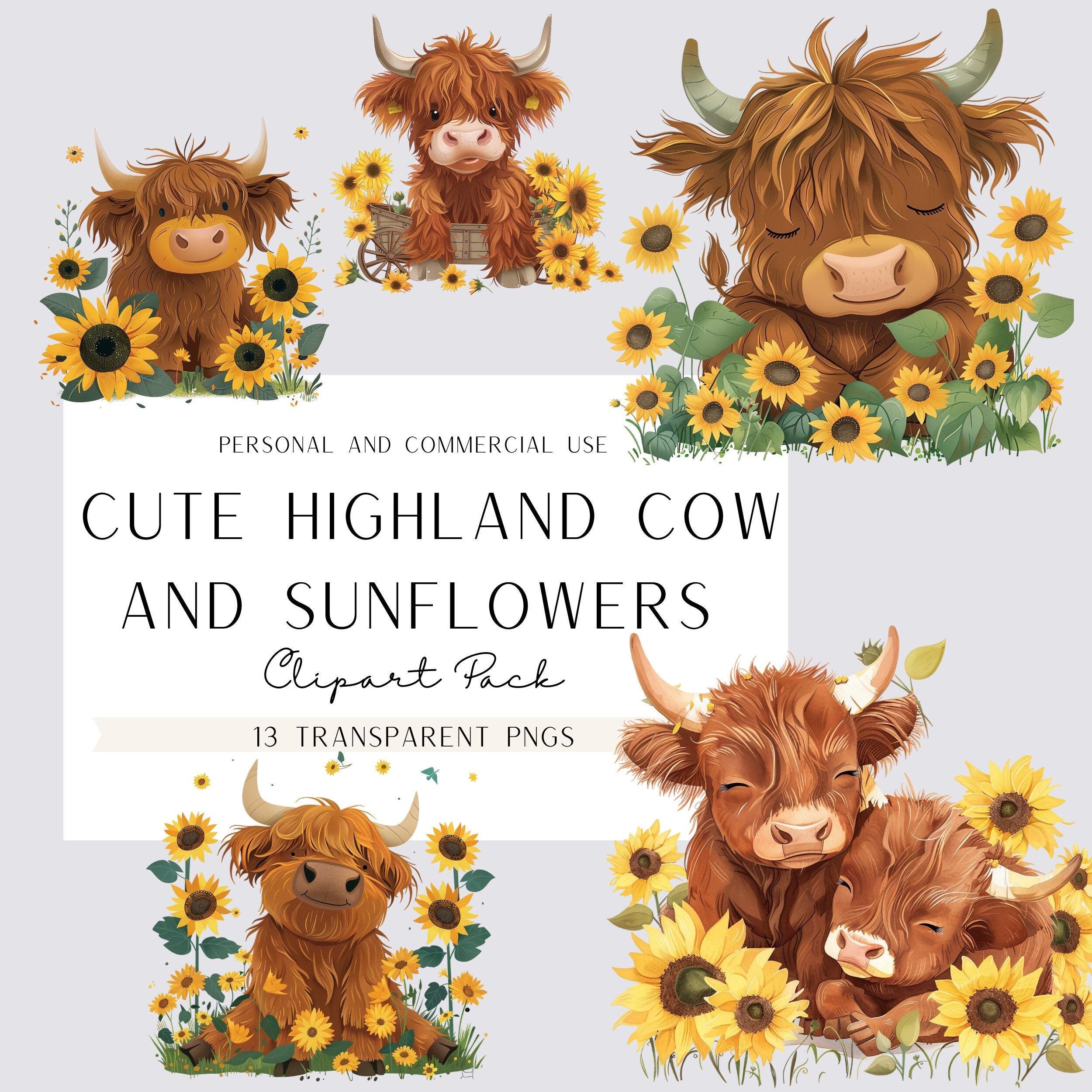 Highland Cow Sunflower Clipart, Baby Highland Cow PNG, Cow With Flowers ...